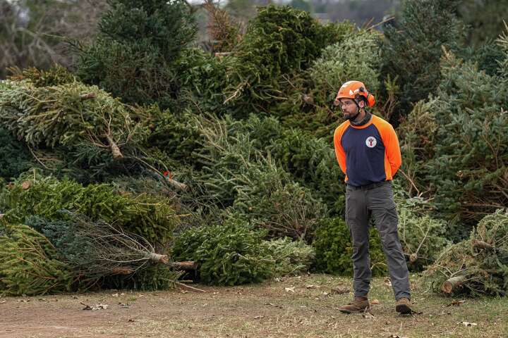 City of Austin hosts drive-through holiday tree recycling at Zilker