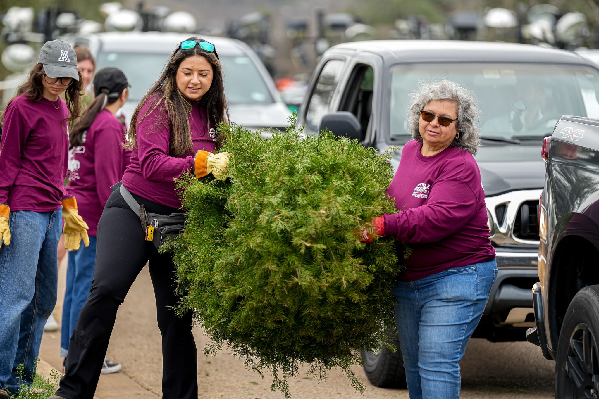 City of Austin hosts drive-through holiday tree recycling at Zilker