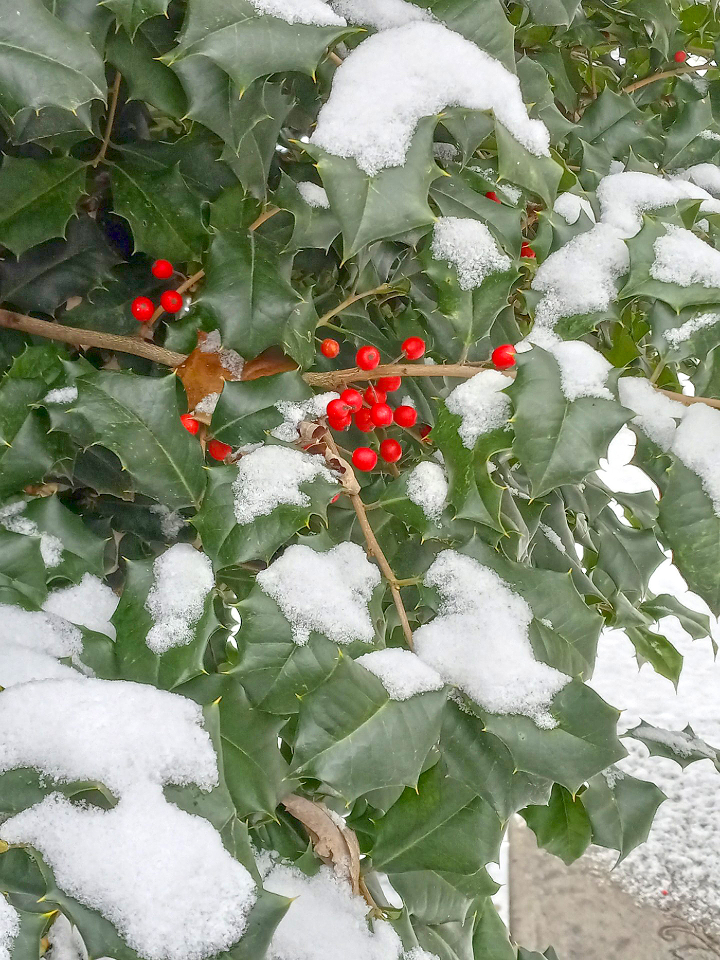 SGA scores 39 as Thunder win 140-129 to hand short-handed Hawks their ...