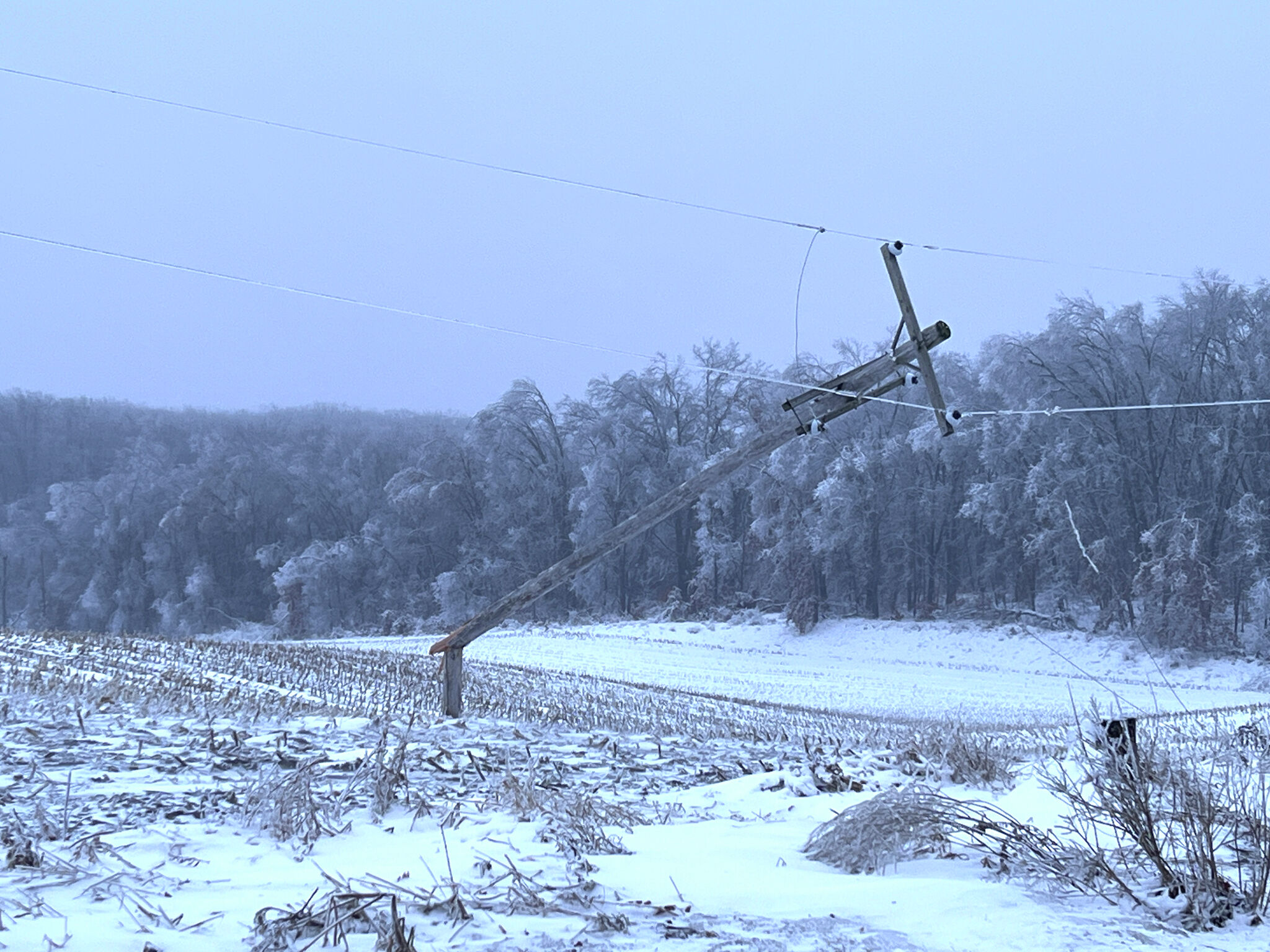 Jamal Shead scores 19 as Raptors overcome 21-point deficit to beat ...