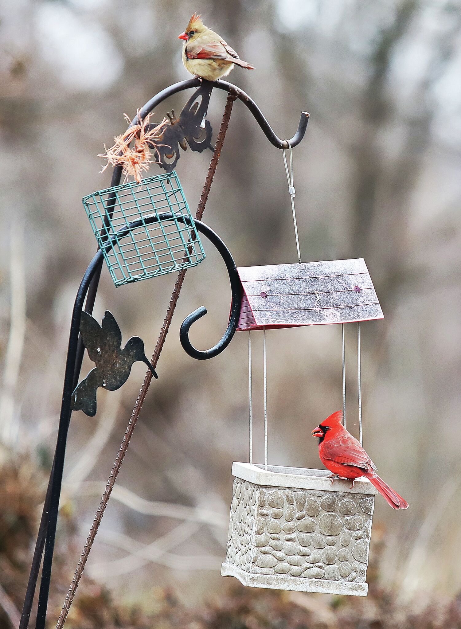 General de EEUU dice que operación en Venezuela se planeó durante meses ...