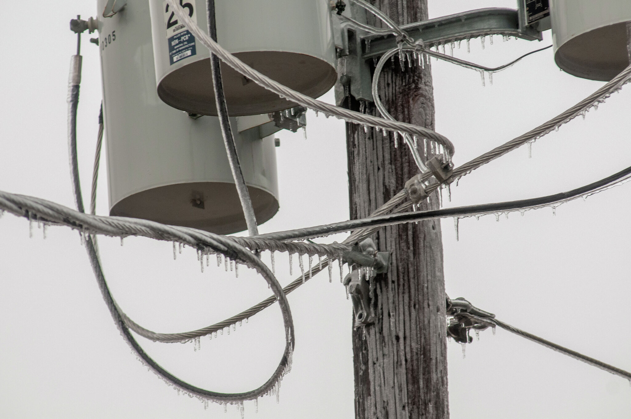 Reed City lineman made most of first varsity start