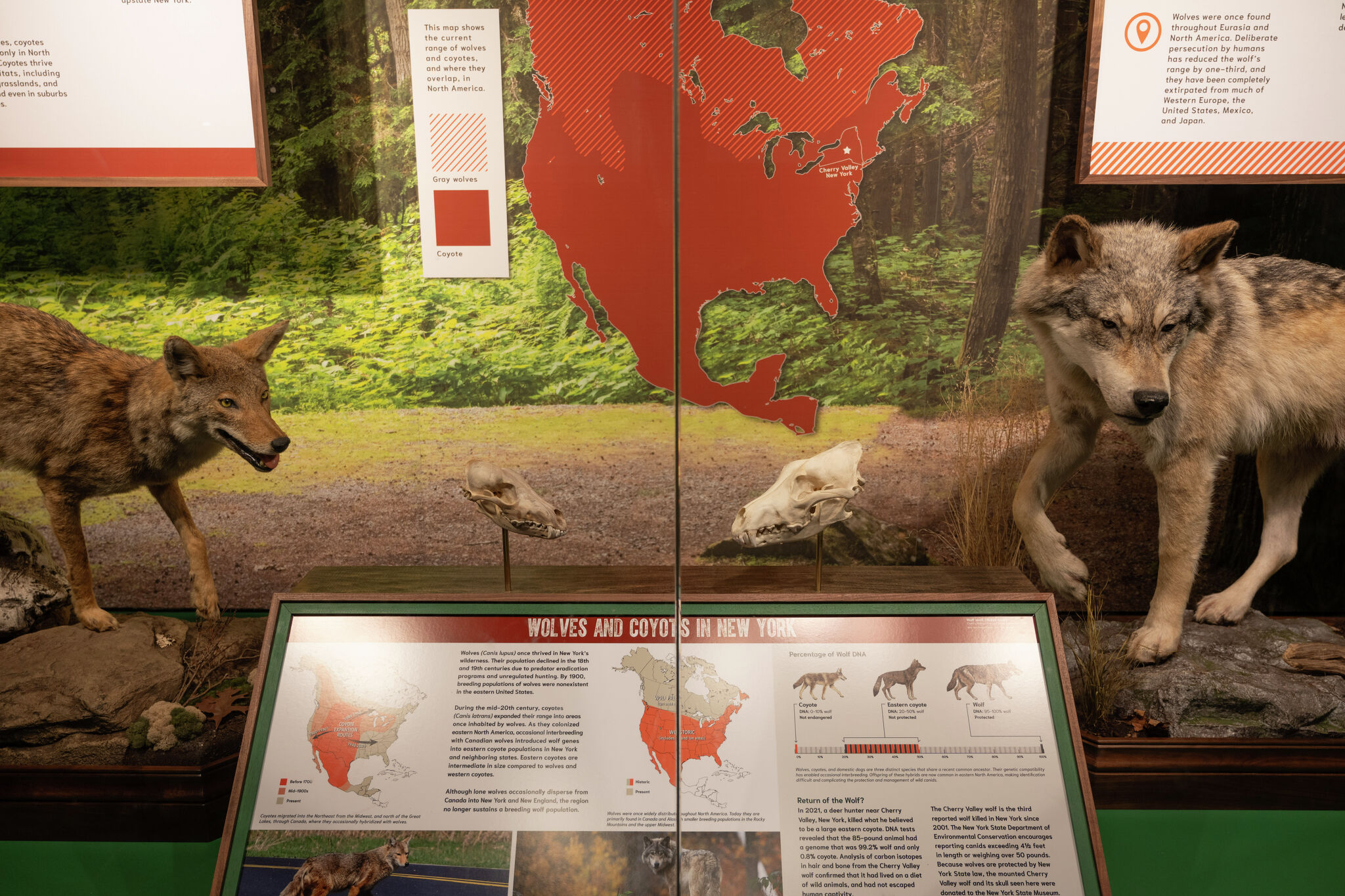 Deni Avdija has 34 points and 11 assists in the Trail Blazers' 122-109 ...