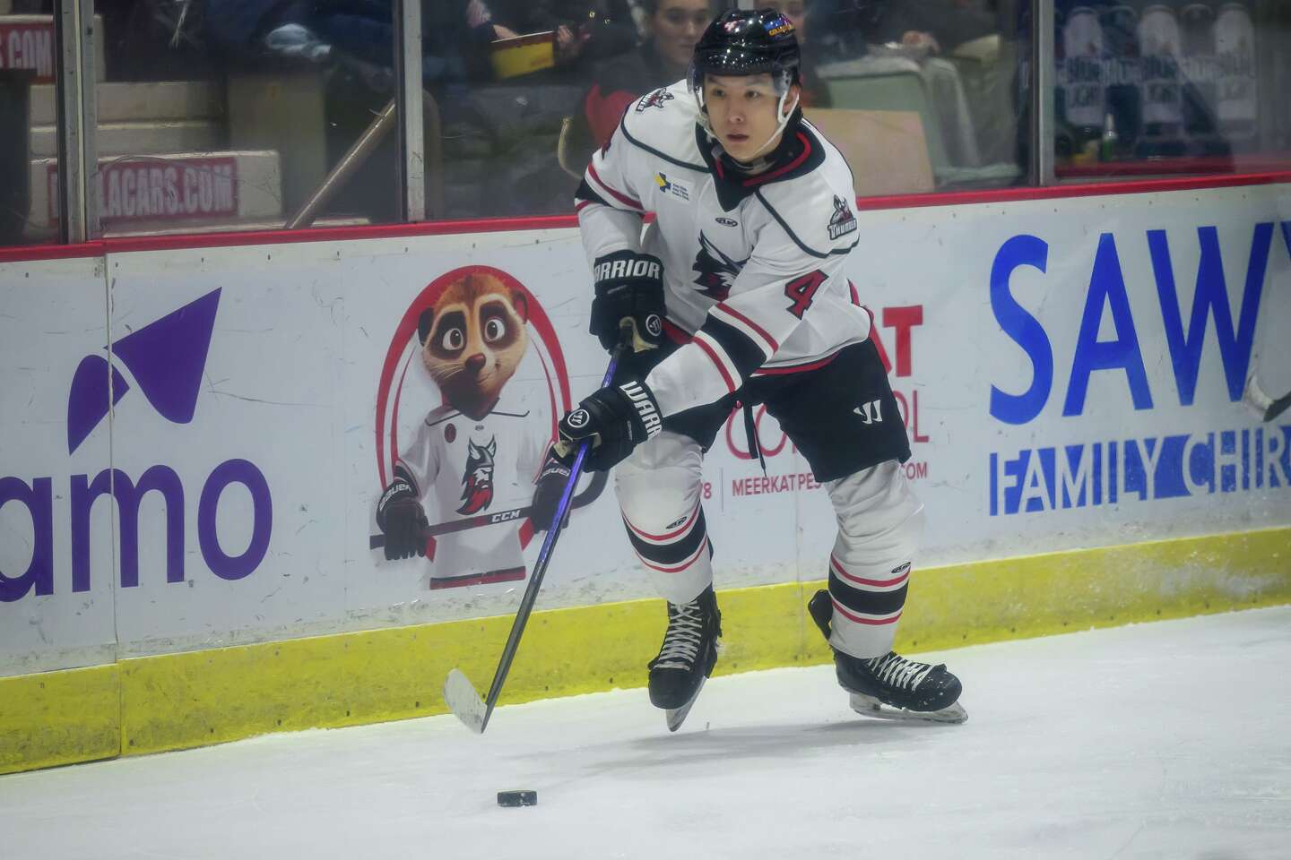 ECHL's Adirondack Thunder thriving with passionate fanbase