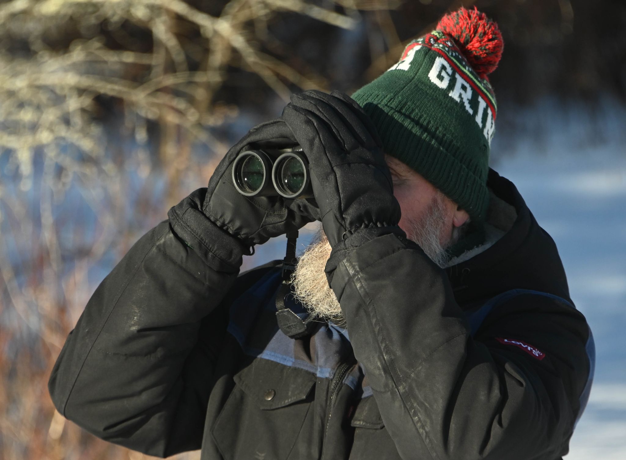 Photos: Peering at the sky for signs of birds