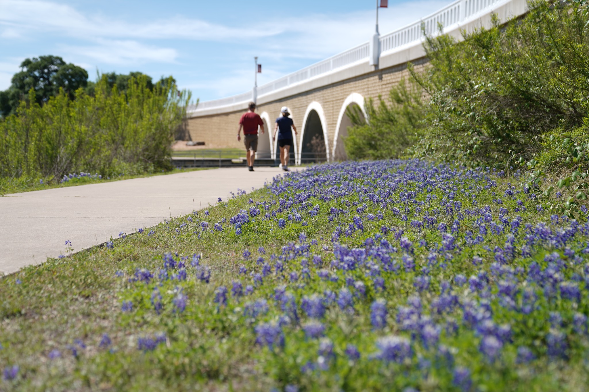 Key Texas bills passed in 2025 legislative session