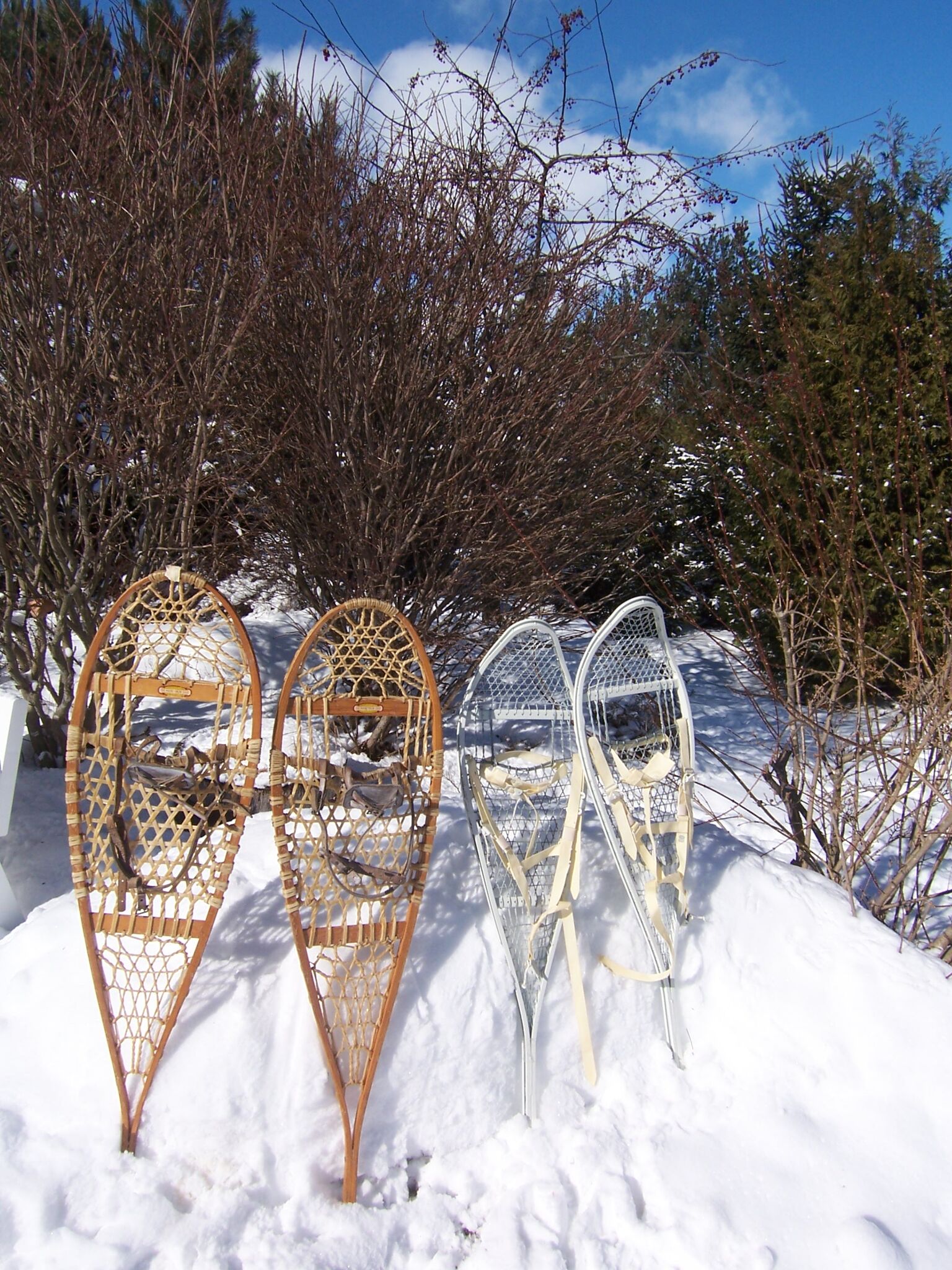 Raven Johnson scores 17 points and No. 3 South Carolina beats Florida ...