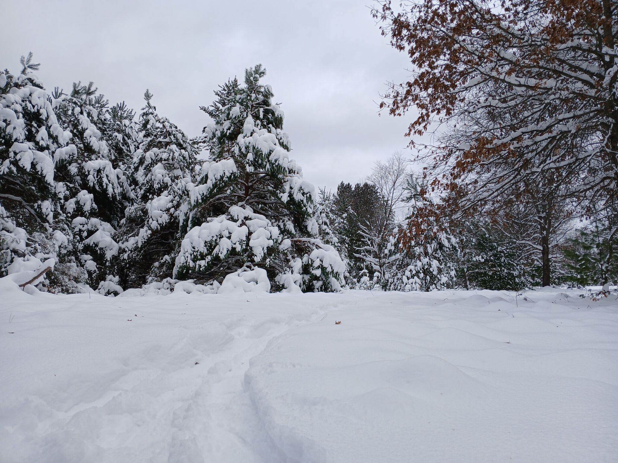 Winning numbers drawn in Sunday’s Mississippi Cash 3 Evening