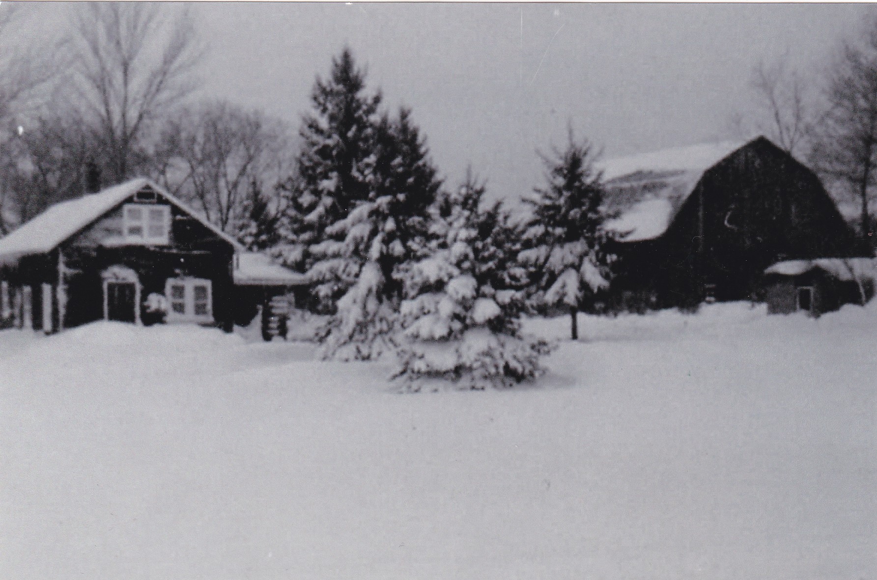 Bills DE Ed Oliver hurts knee, further delaying his return from IR