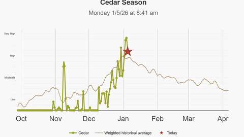 Suffering from cedar fever? See what to expect in Austin allergies