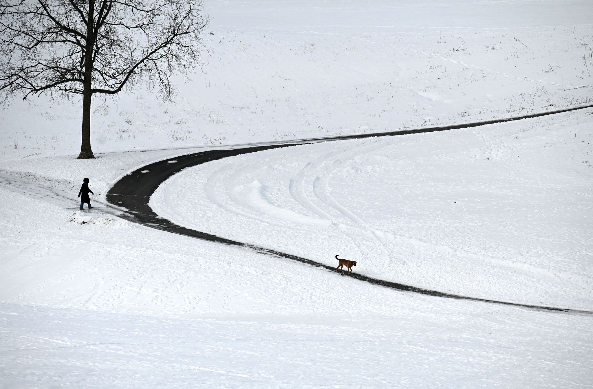 Light snow expected Monday, followed by rain and freezing rain Tuesday