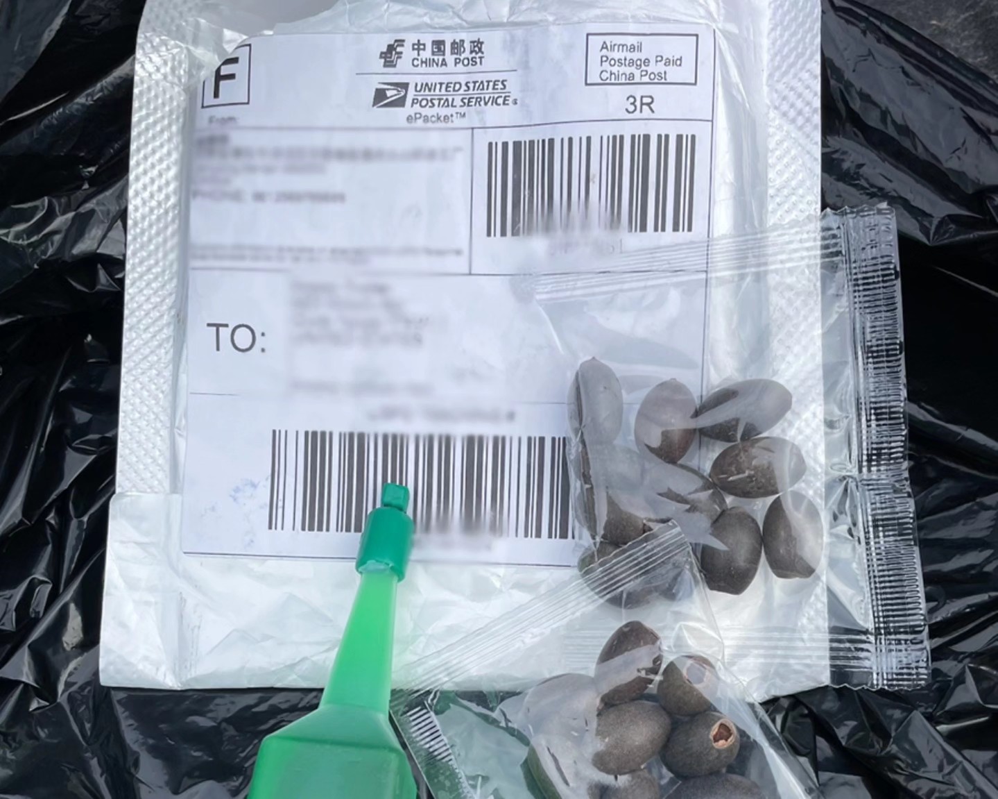 Strange seed packets are appearing in Texas mail—no one knows why
