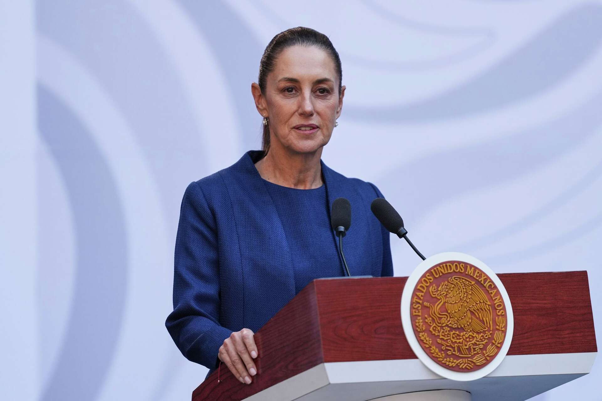 Mexico's president joins ARMY fan base in BTS concert push