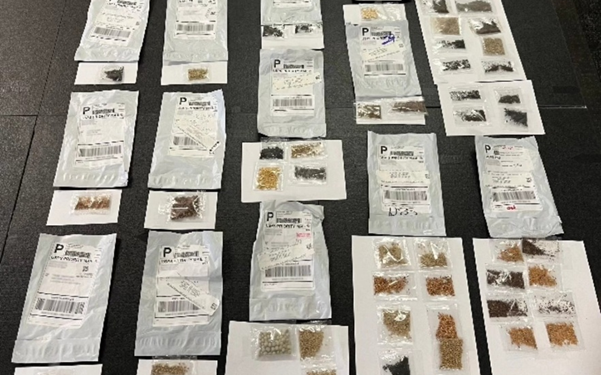 Mystery Chinese seed packets spark warning from Texas officials
