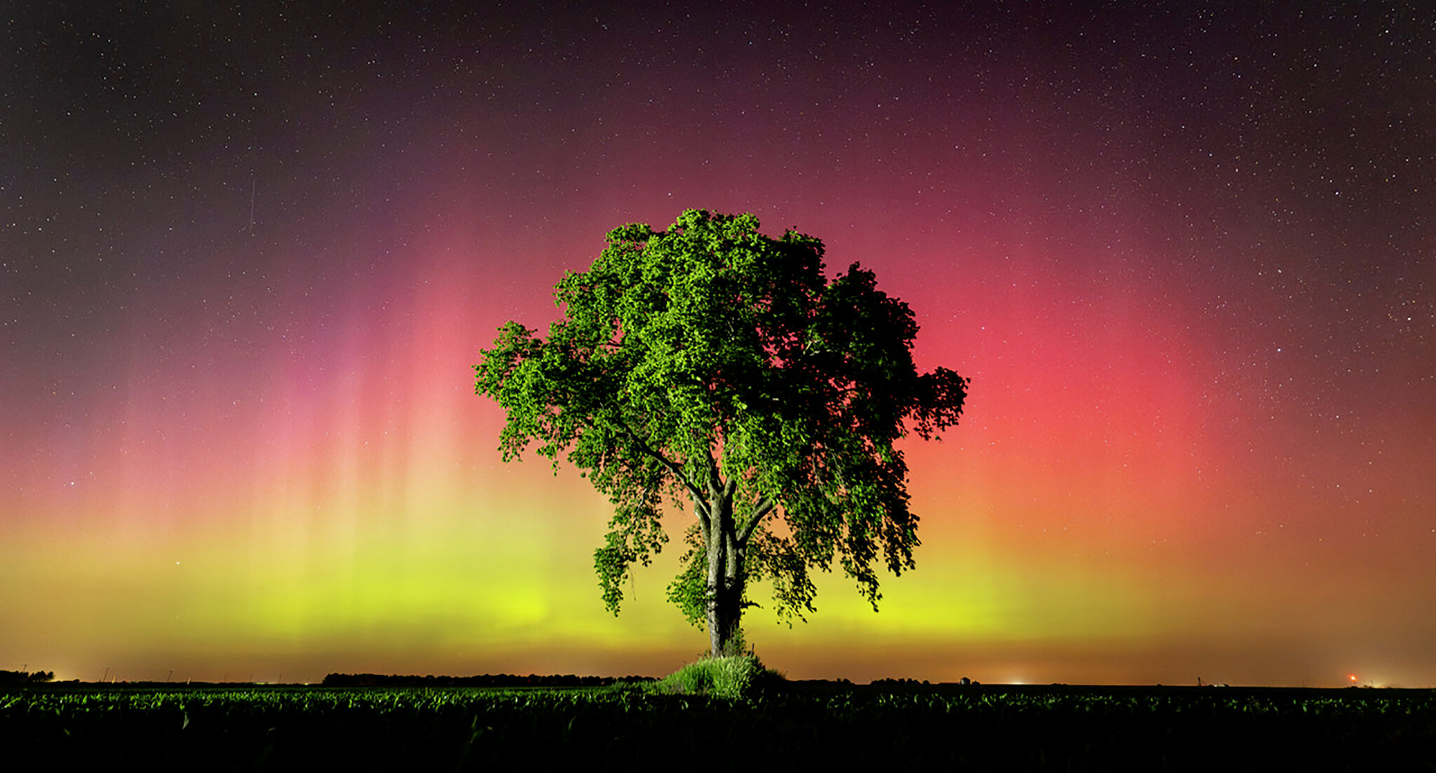 Nickel for your thoughts? (Rounding up) — Robin Garrison Leach