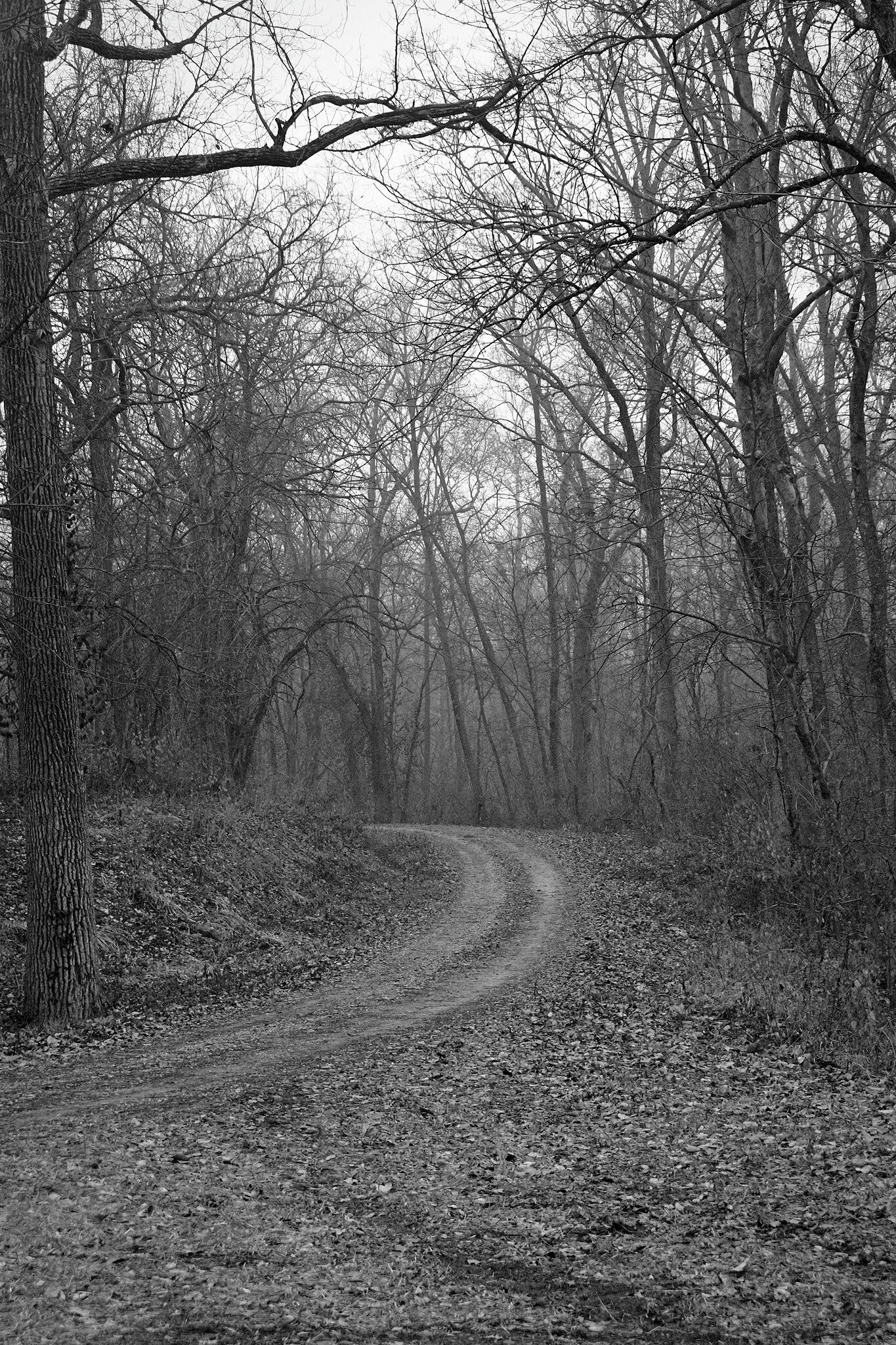 Winning numbers drawn in Thursday’s Oregon Cash Pop