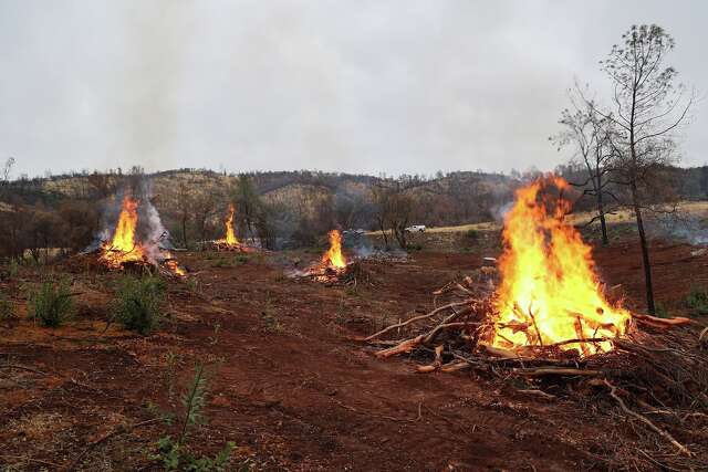 Contra Costa Co.: Vegetation Pile Burns Planned For Mt. Diablo State Park