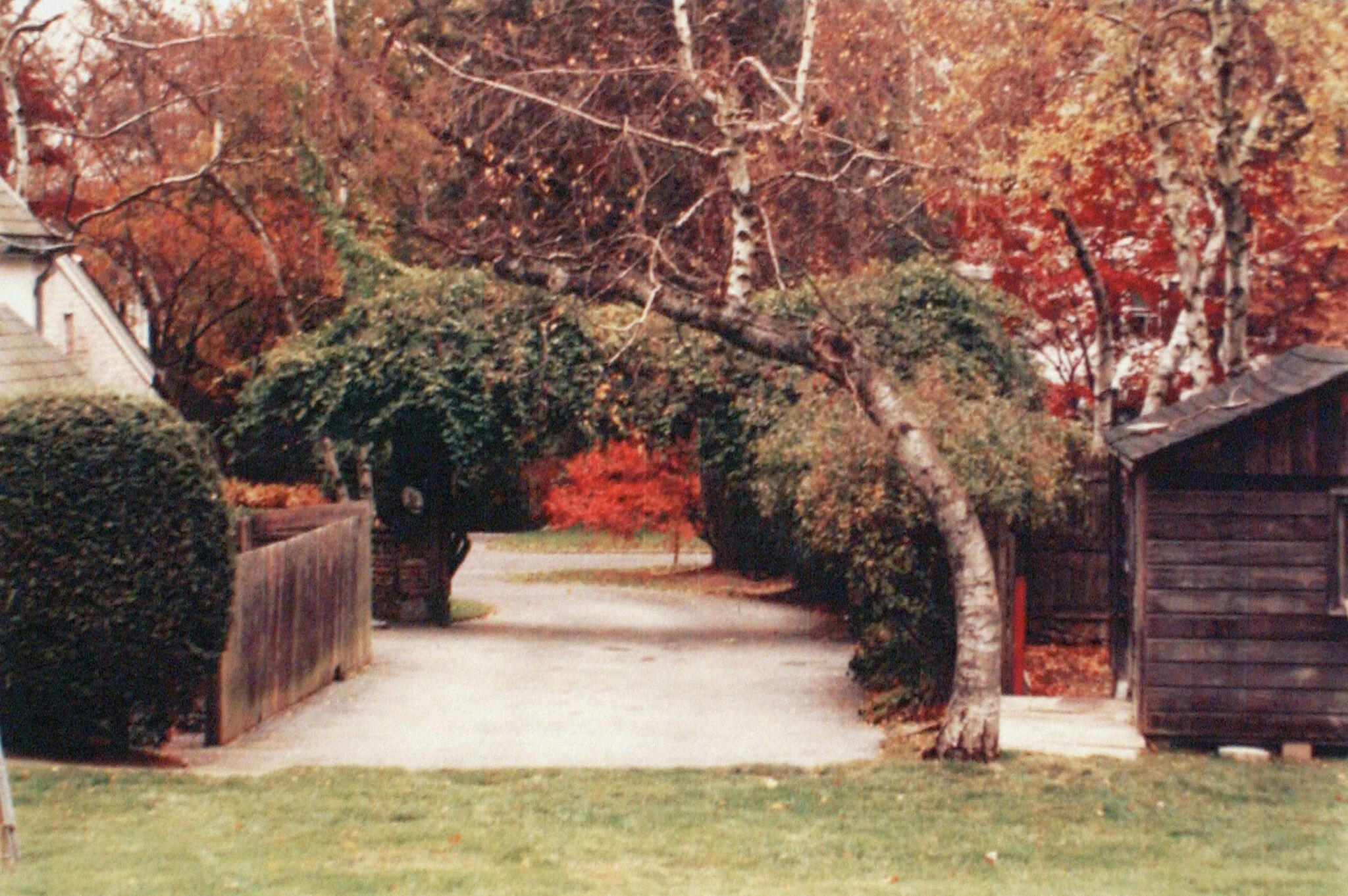 Golden Globes host Nikki Glaser struggles with Julia Roberts and ...