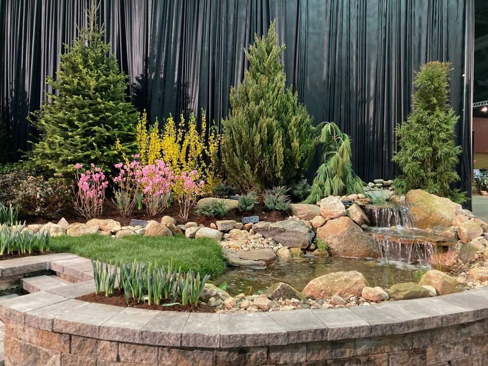 CT Flower & Garden Show returns with flowers in 'full bloom'