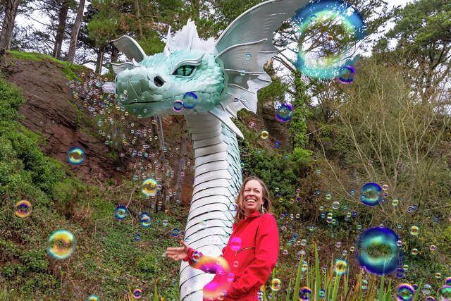 The biggest art installation in Golden Gate Park came at a hefty cost
