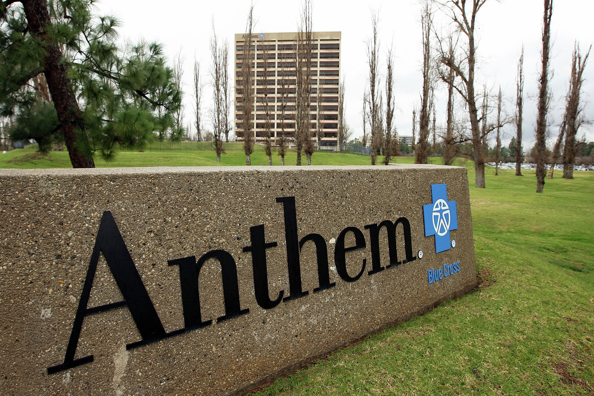 Anthem failed to recover $19.3M, NY state audit finds