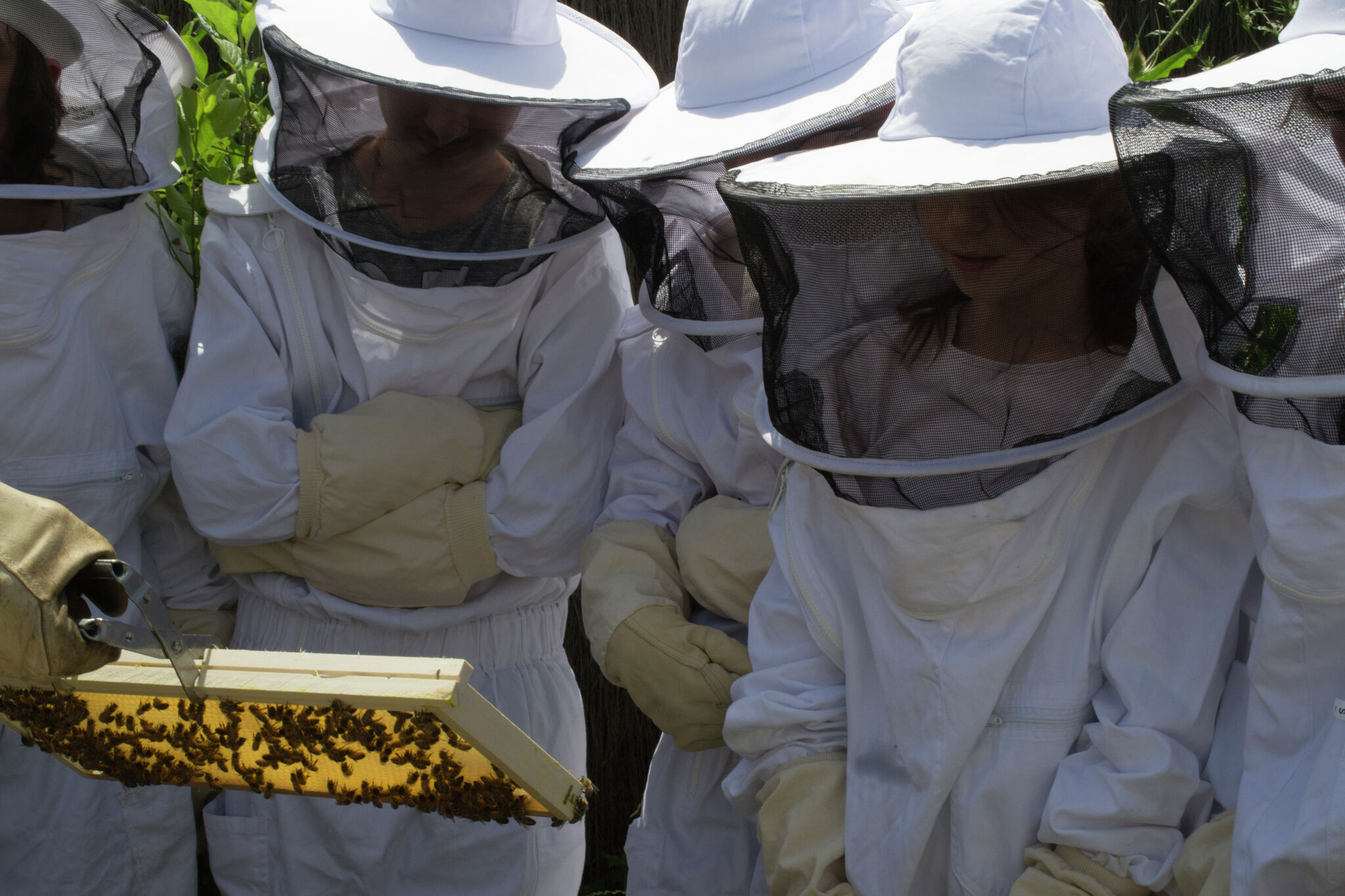 What to know about the rules for officers firing at a moving vehicle