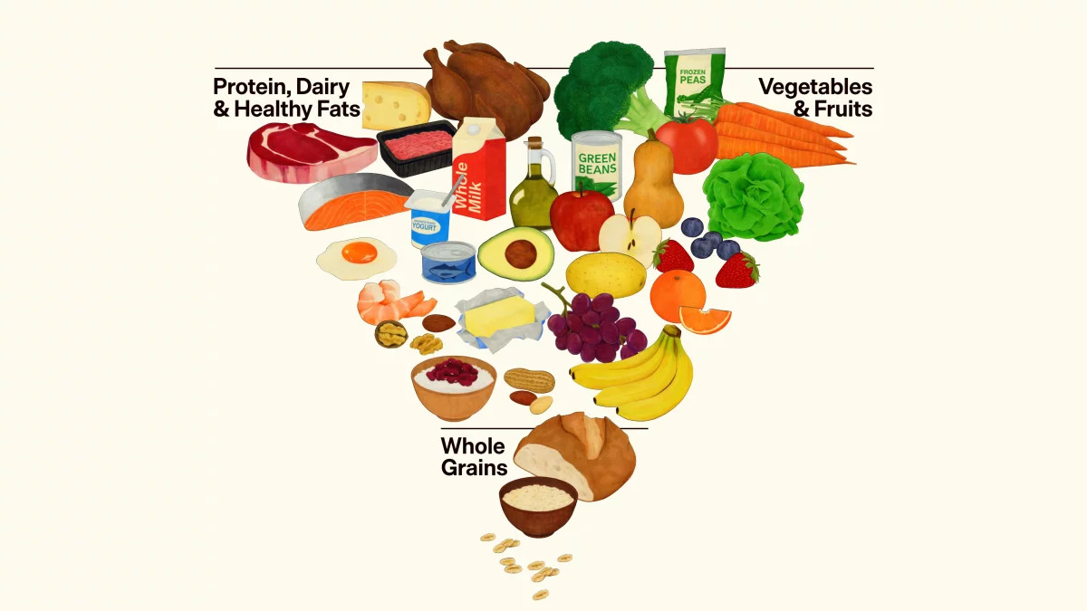 USDA's new food pyramid limits ultra-processed foods, added sugar