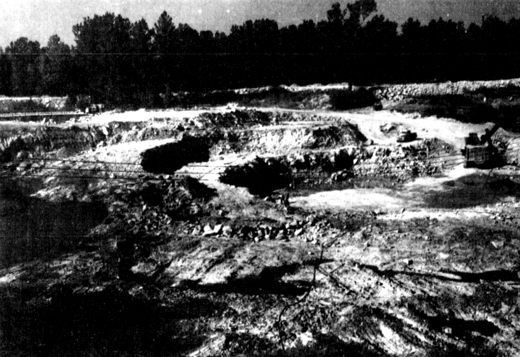 Godfrey weighs MapZot.AI to track shoppers, recruit businesses