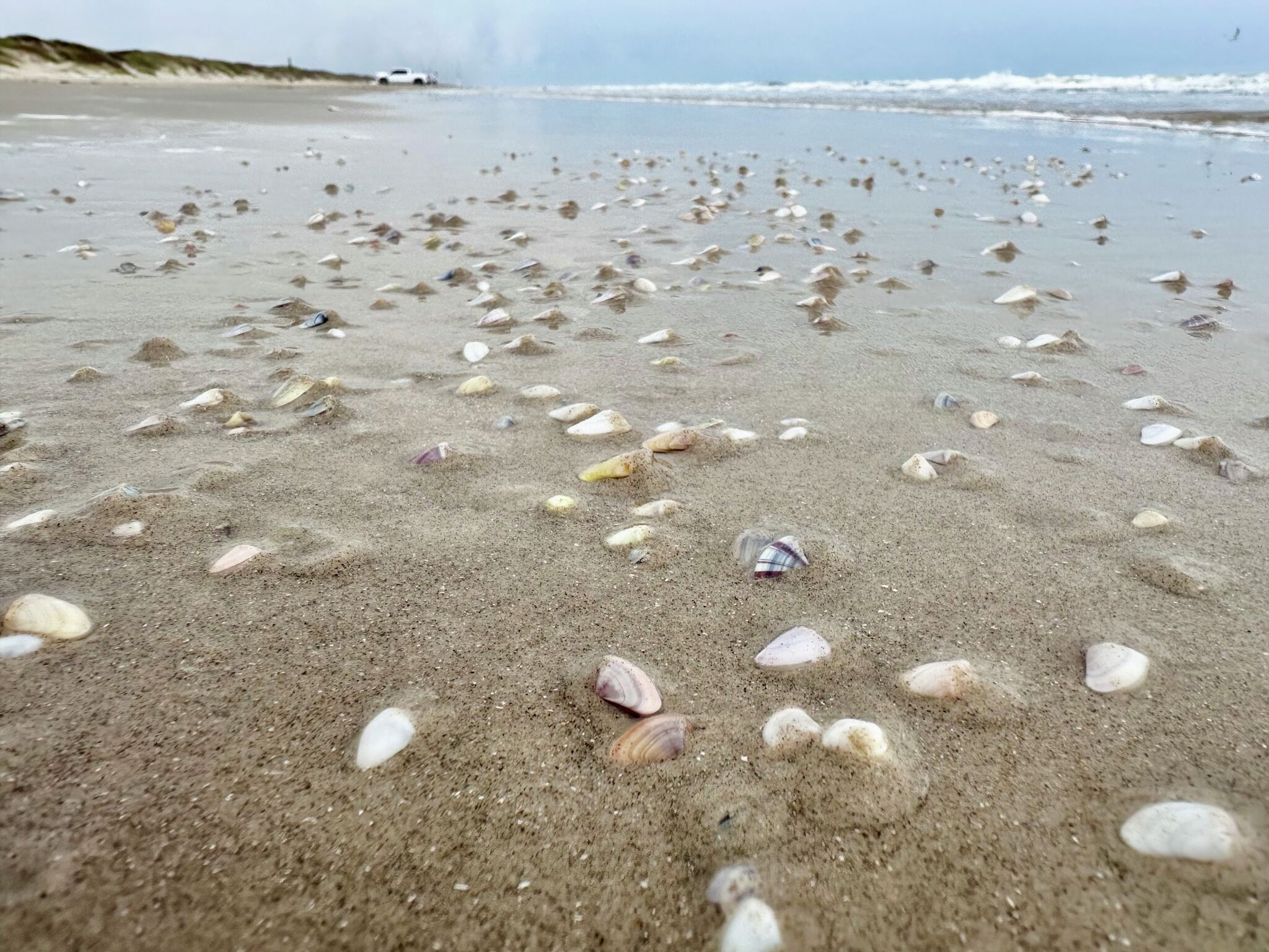 Winning numbers drawn in Friday’s Missouri Pick 3 Midday