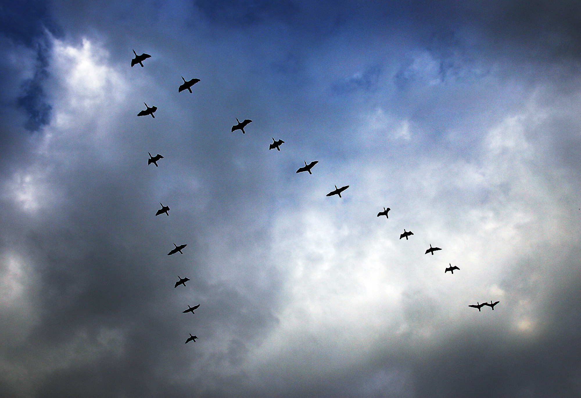 Austin FC attack reverts to type in road loss to Seattle Sounders