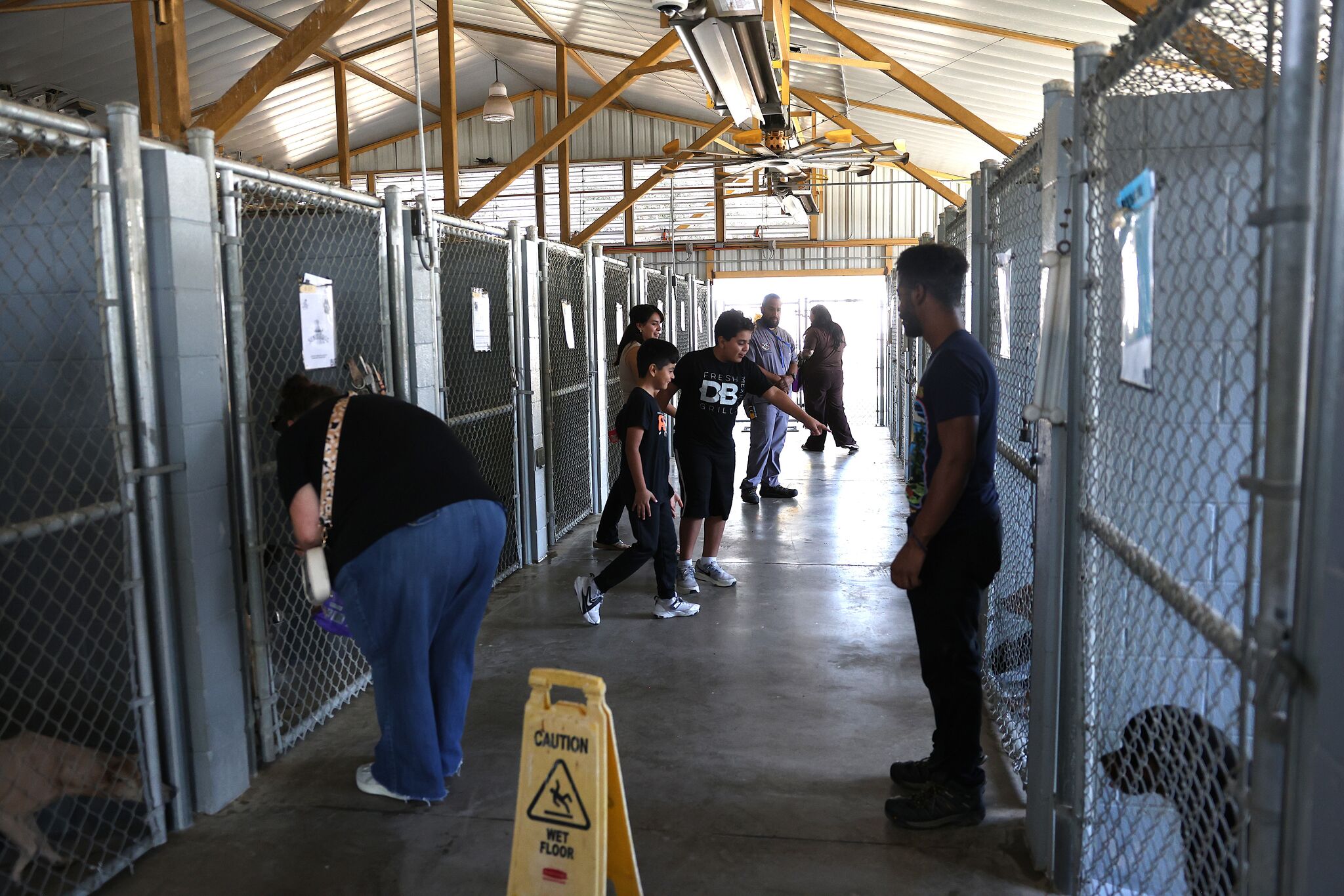 LACS seeking donations as animal shelter supplies run low