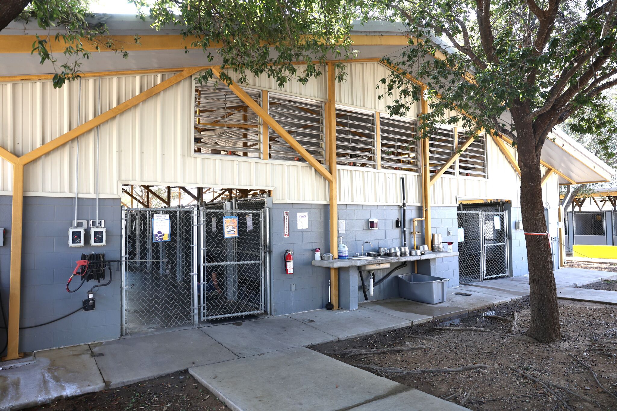 Policía de Guatemala libera rehenes en prisión mientras ataques matan a ...