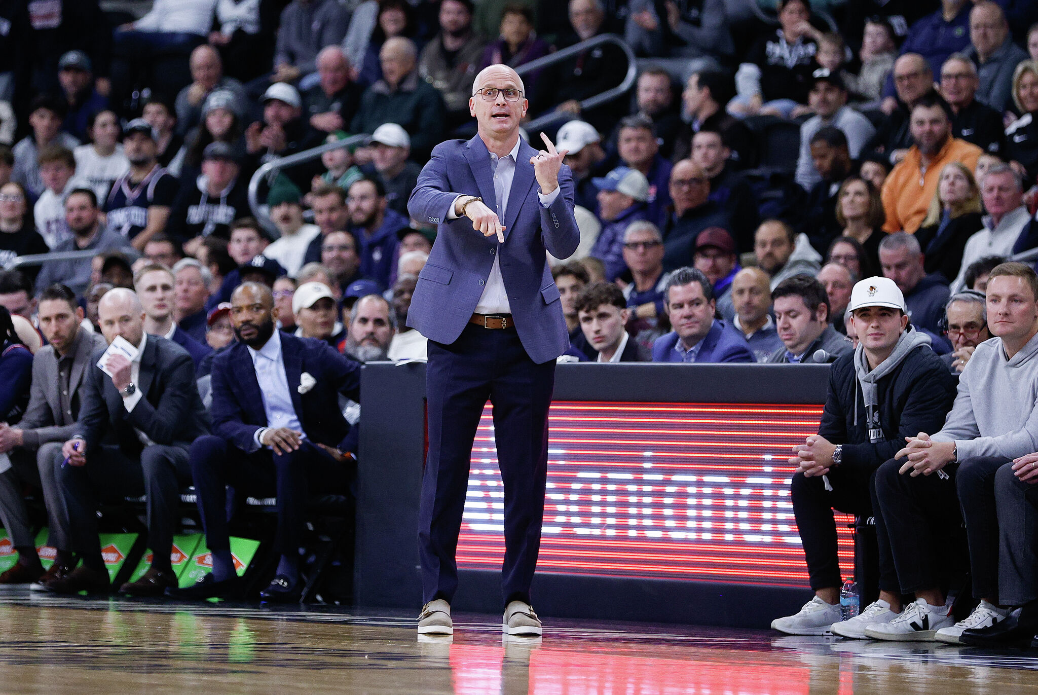 $5K reward offered after 2 pitbulls found dead in Manchester