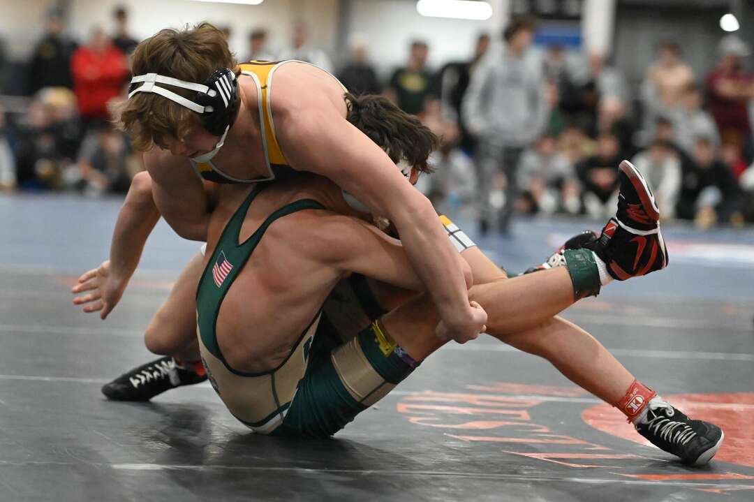 Seeds announced for Section 2 boys' wrestling state qualifier