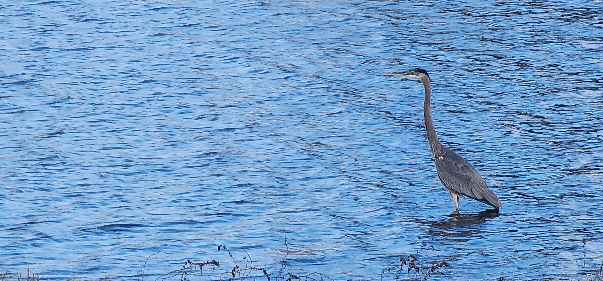 Winning numbers drawn in Sunday’s North Carolina Pick 3 Evening