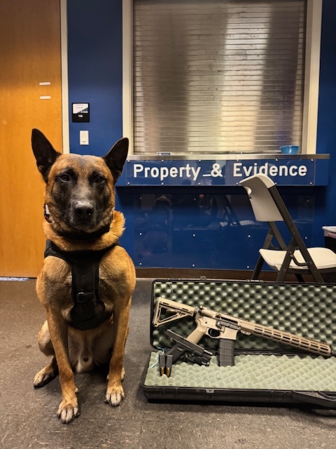 Santa Rosa: Police Arrest Man Accused Of Showing Firearm To Food ...