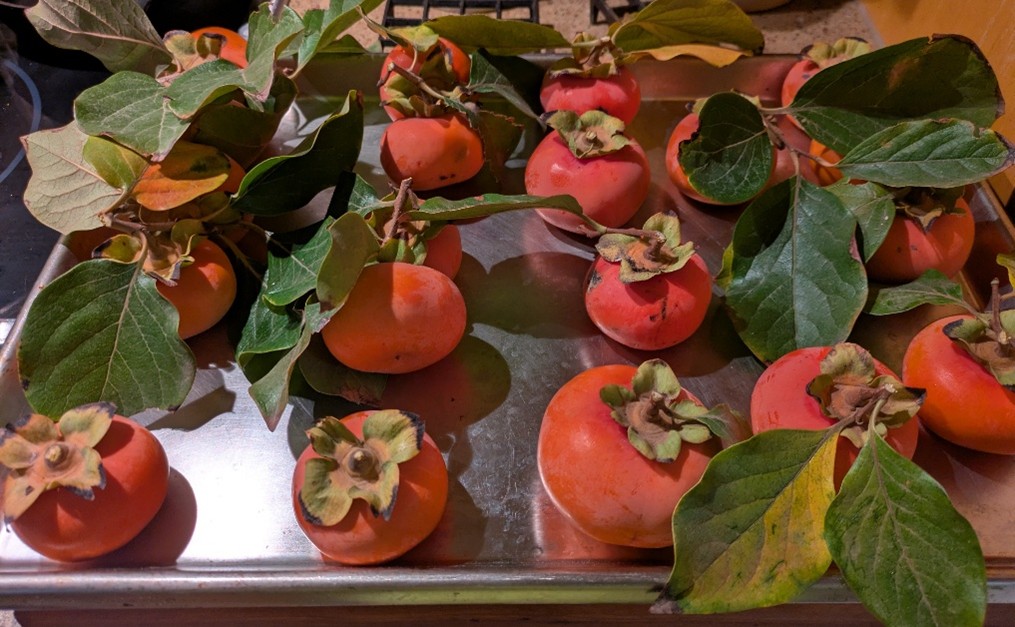 Ex-Justice Department special counsel Smith will testify publicly about ...