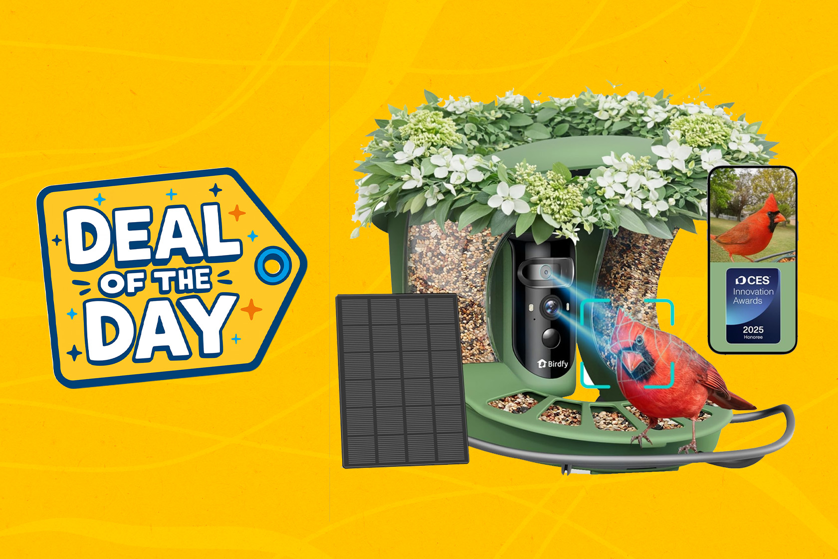 The Birdfy 2 Smart Bird Feeder is back to its all-time low