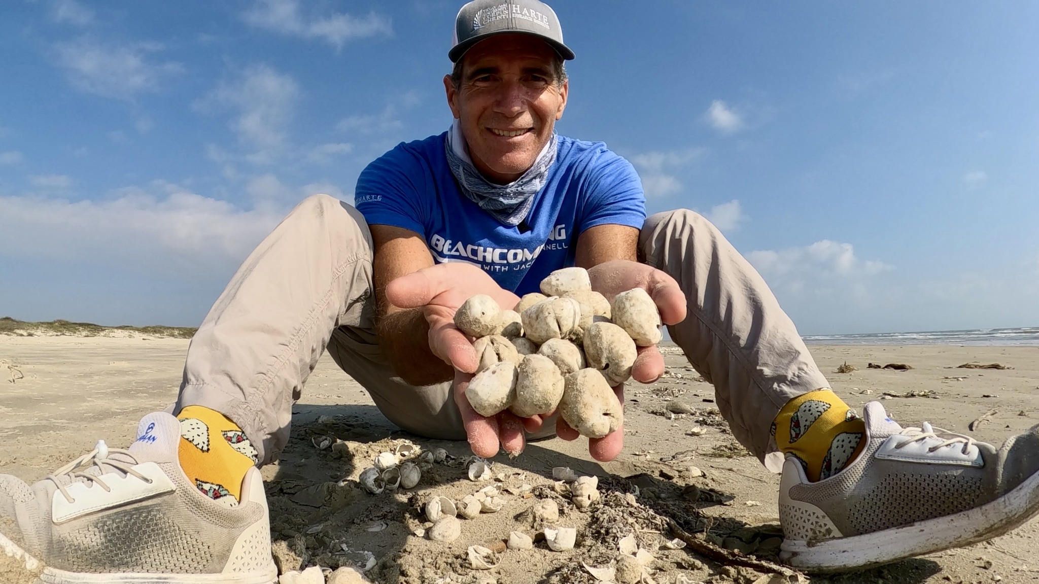 Rarely seen sea creature wash ashore by the thousands in Texas