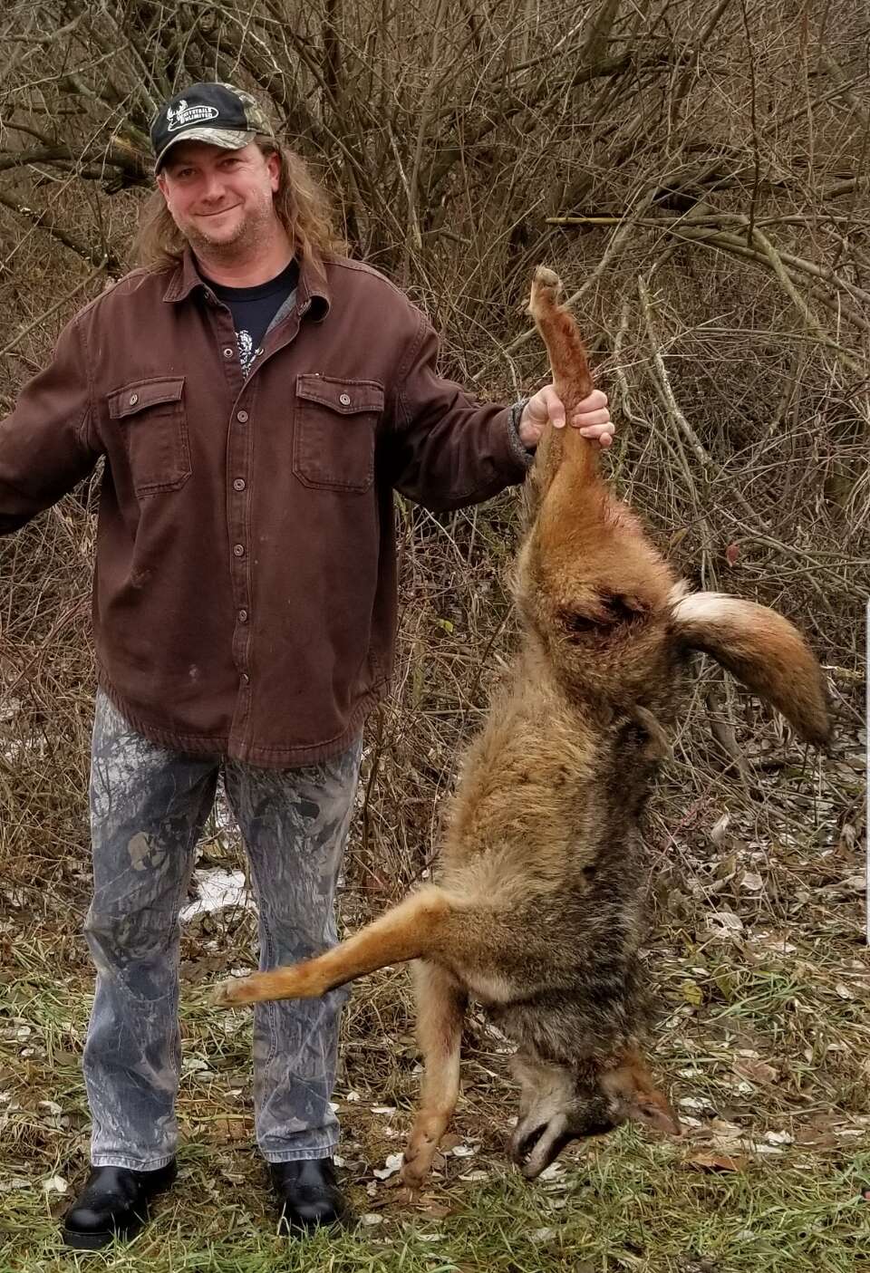 Michigan coyote hunting at night booms: tips and rules