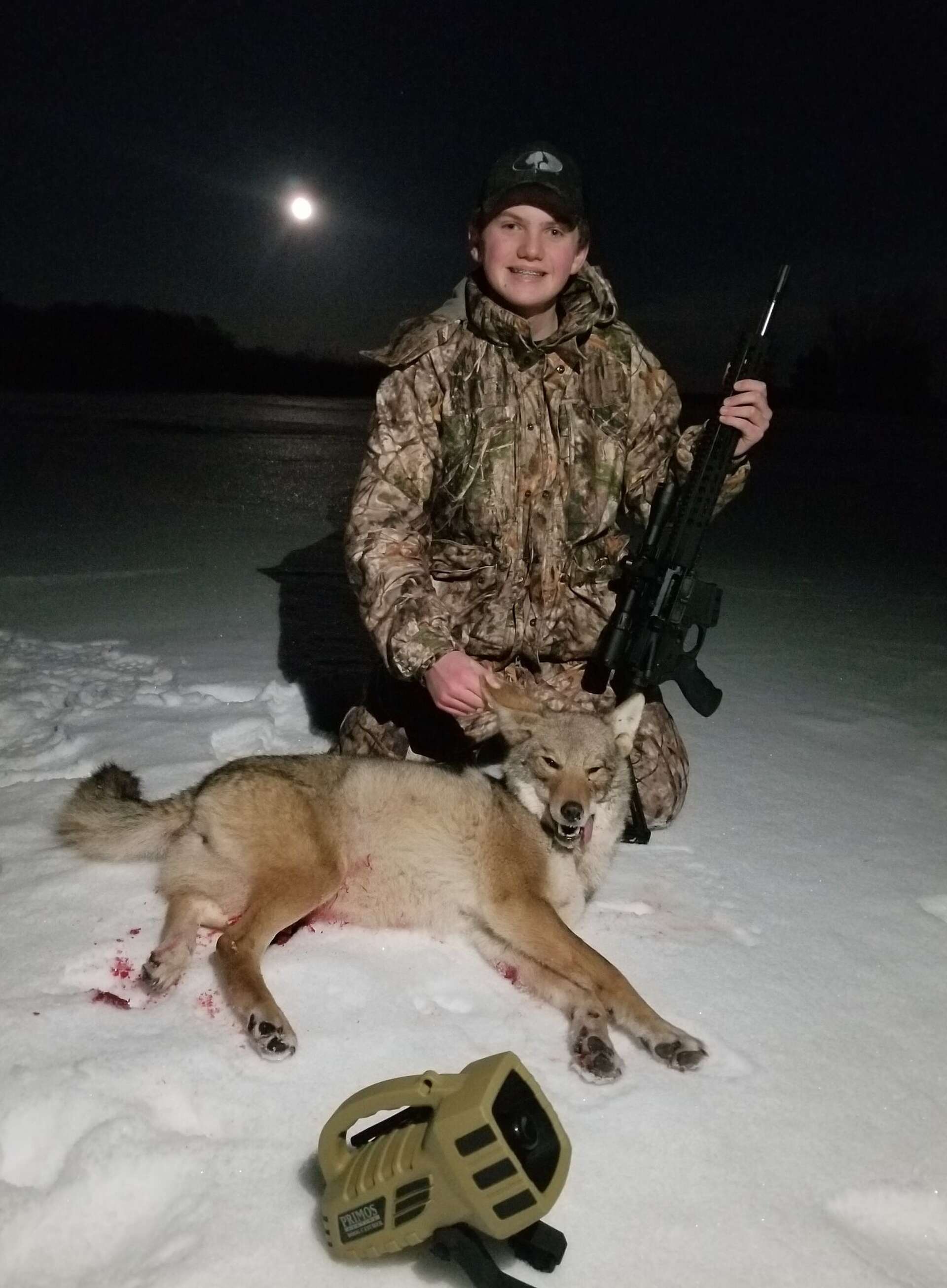 Michigan coyote hunting at night booms: tips and rules