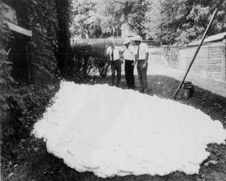 Underdog millionaire as local amateur beats Sinner on way to 1 Point ...