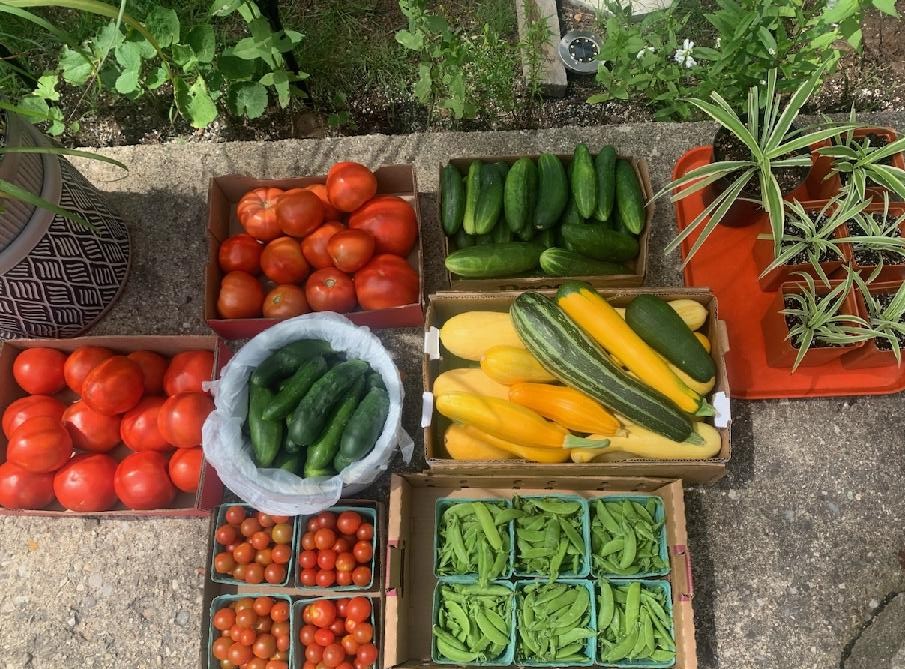 Pathfinder Community Library Book Buzz for Jan. 16, 2026