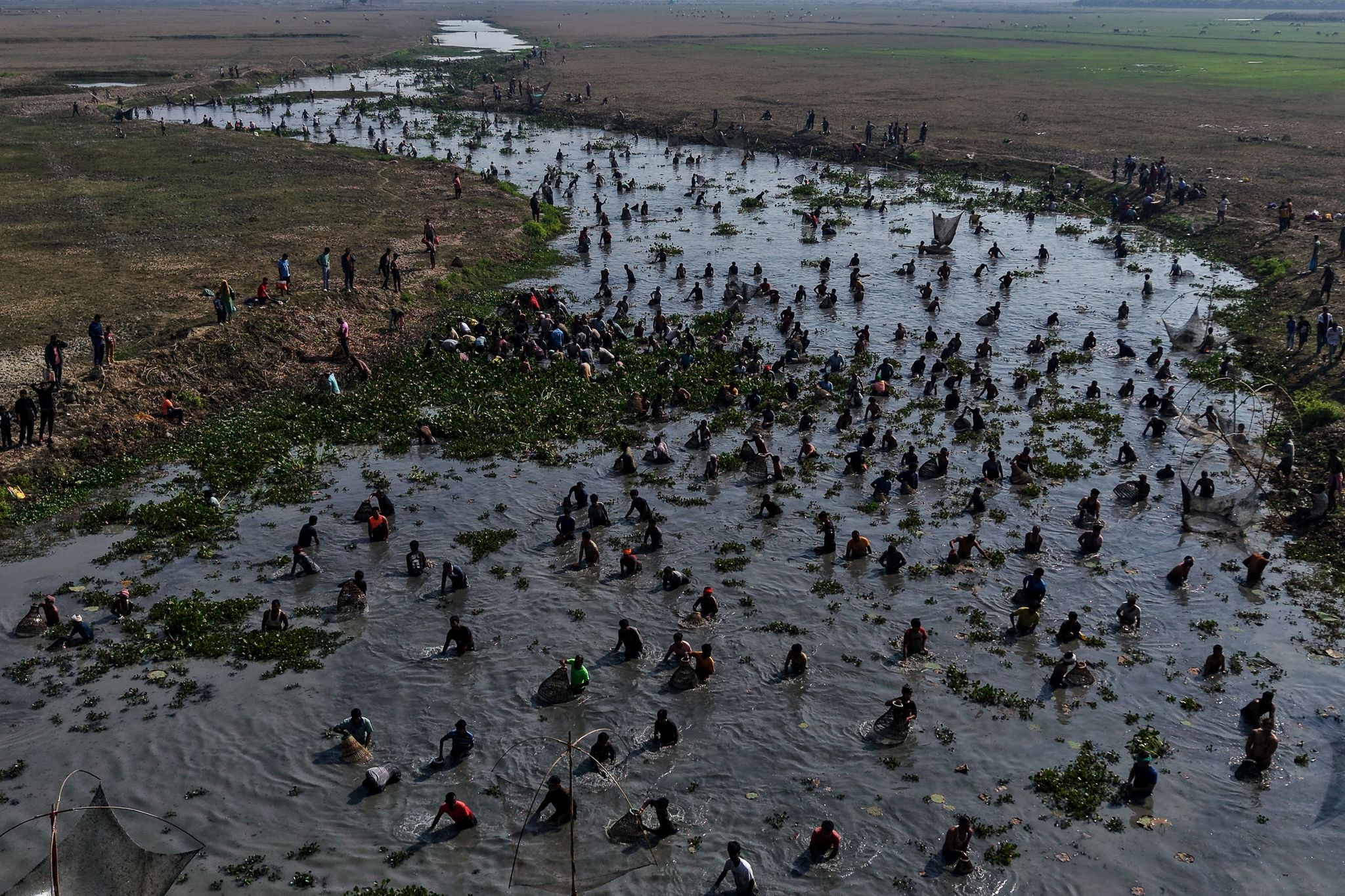 Photos of a community catch in an Indian fishing village marking the ...