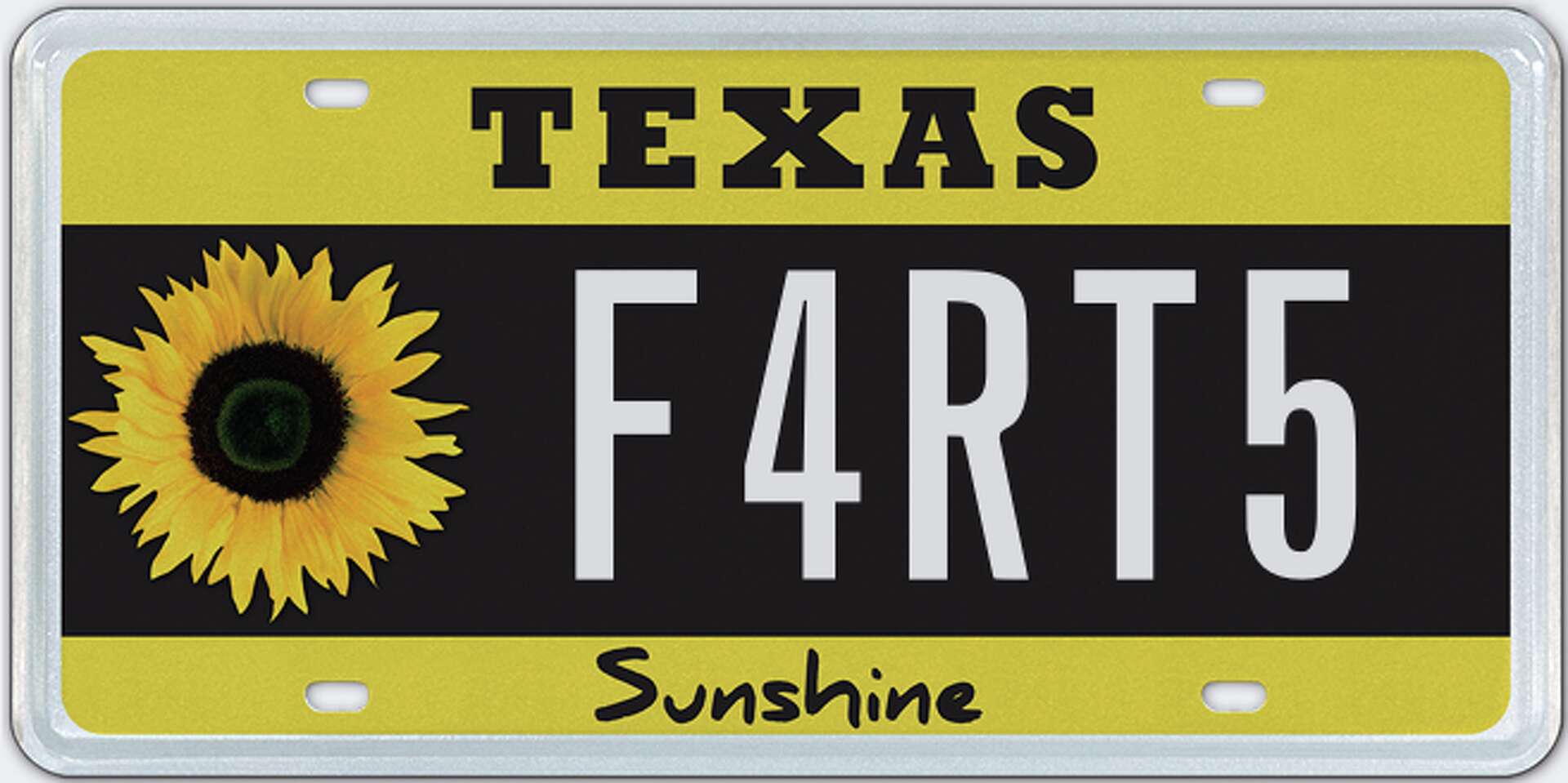 These Texas license plates were rejected by the DMV in 2025