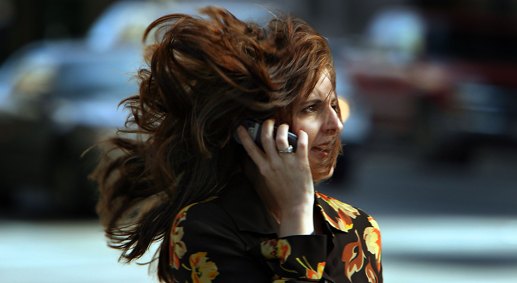 Breezy cold front whips Austin. How bad will it kick up cedar pollen?