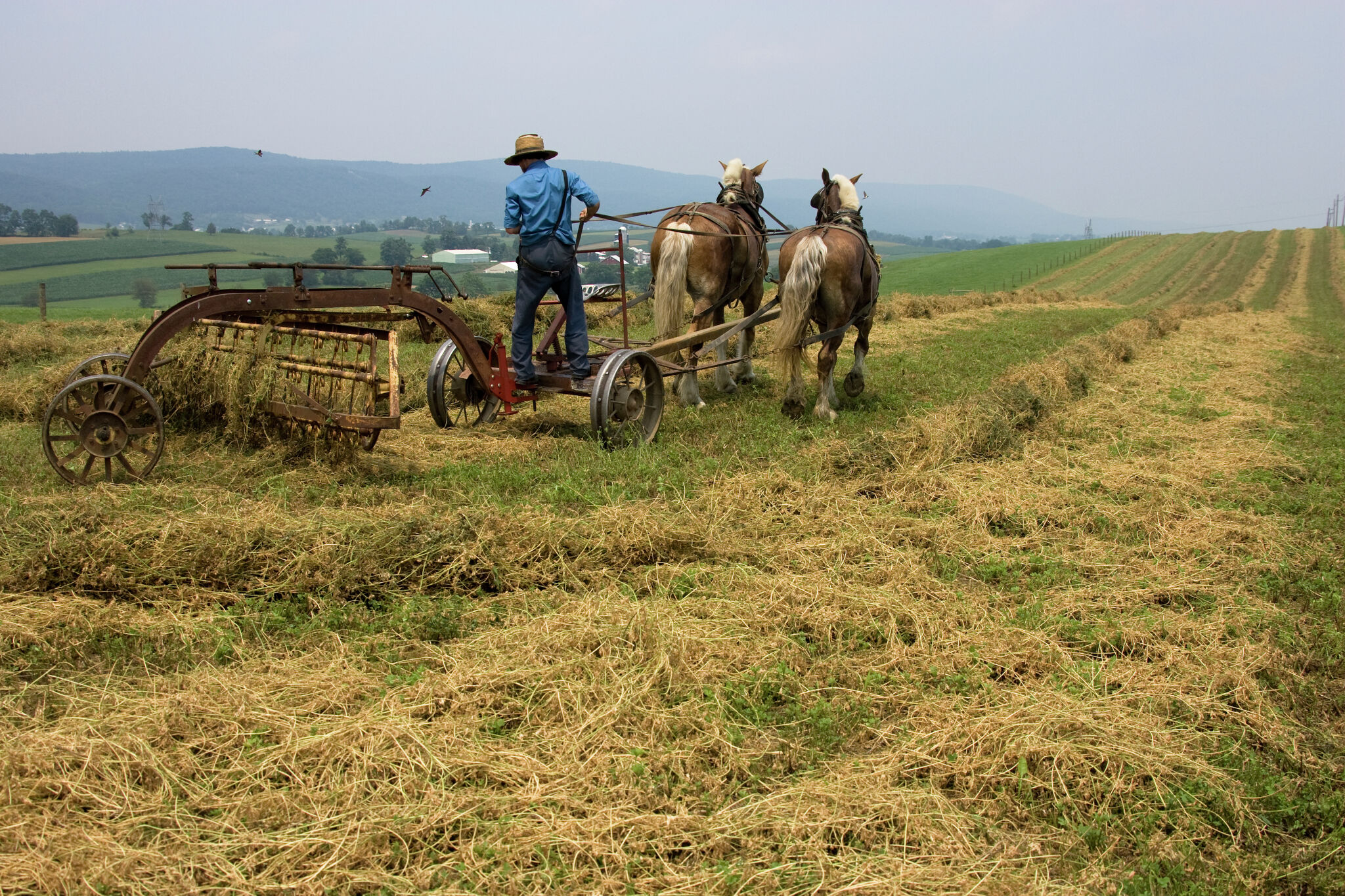 Photos of demonstrators outside the Supreme Court as it considers ...