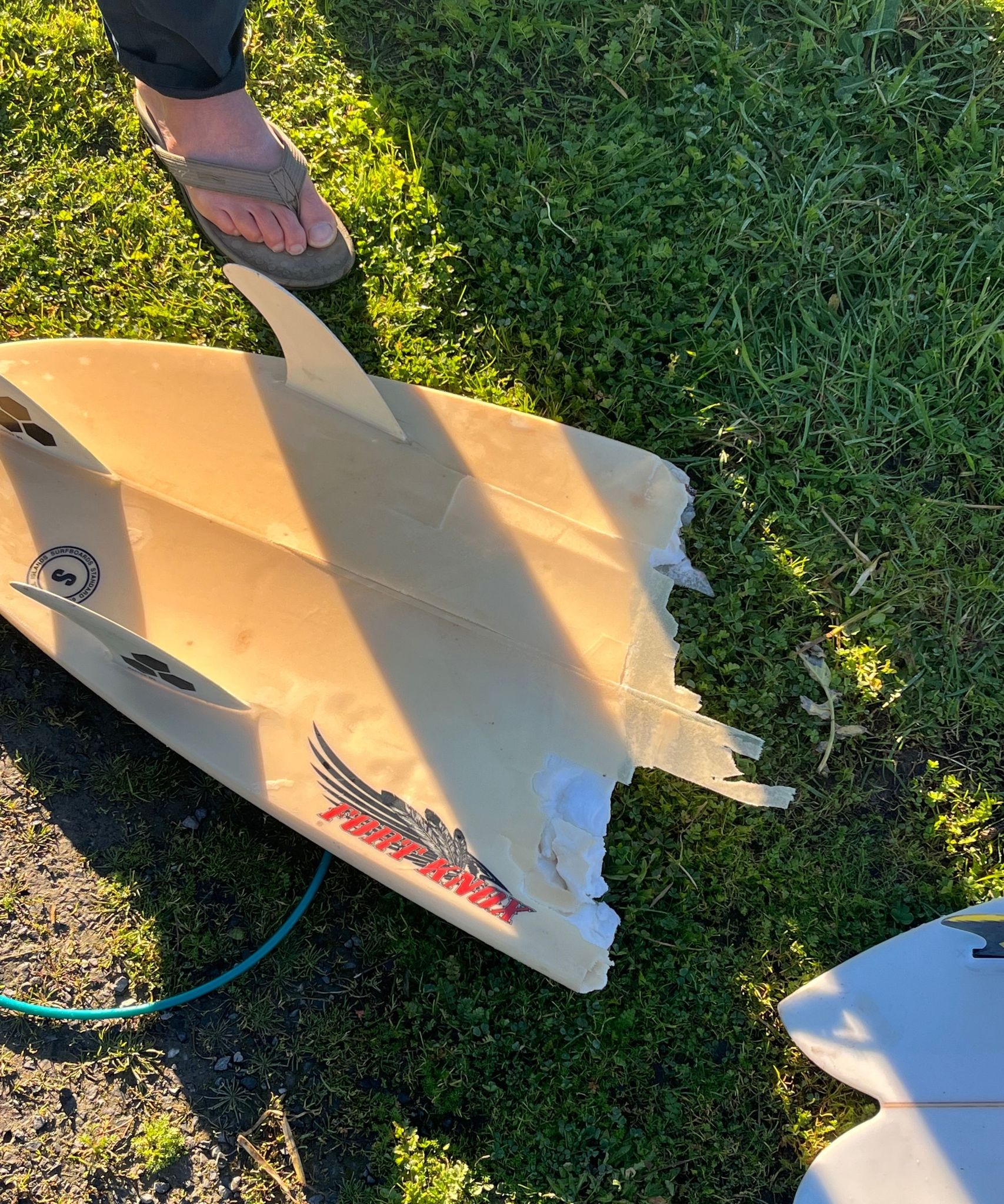 Mendocino Co.: Surfer Injured In Apparent Shark Attack By Gualala
