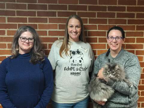 Midland Mutt-i-grees program returns with monthly sessions