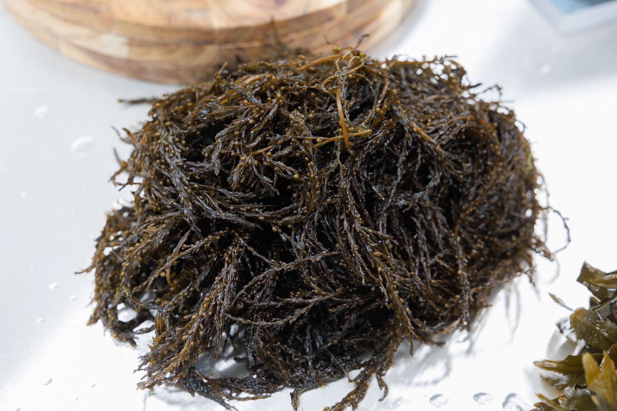 Mysterious hum troubling West Haven residents reaches 'Today' show